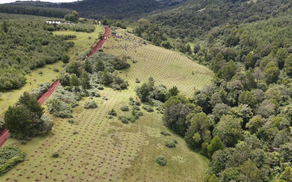 Home | State Department for Micro, Small and Medium Enterprises (MSMEs ...